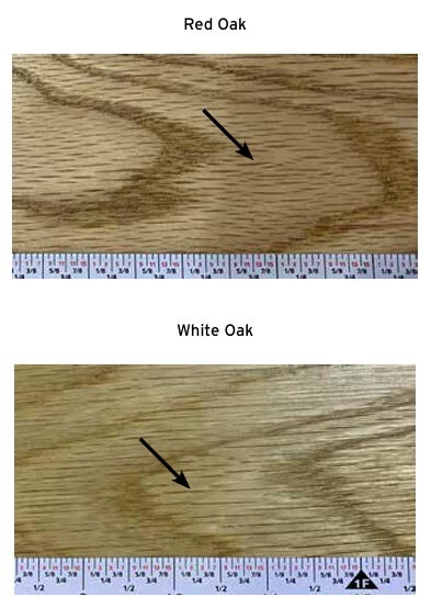 Distinguishing Red Oak from White Oak